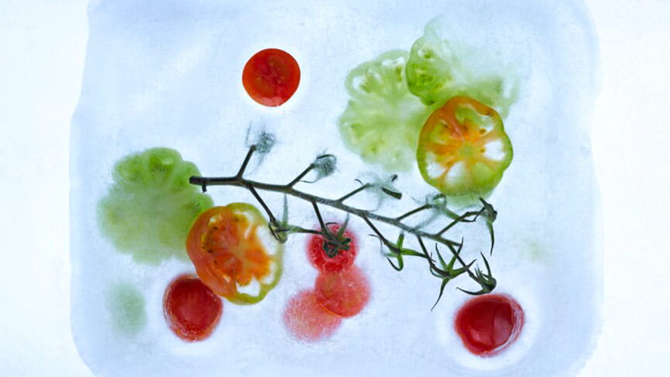 Cook & Chill und Cook & Freeze – Definition und Vorteile I apetito